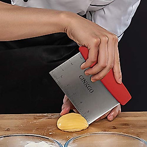 GINKGO Stainless Steel Bench Scraper Red and Blue