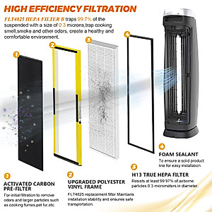 Blutoget FLT4825 Replacement Filter B Replaces AC4825 AC4825E AC4825DLX(Pack of 2 x HEPA Filters + 2 x Carbon Pre-Filters)