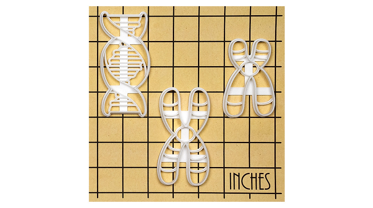 DNA Themed Cookie Cutters Set - 3 Designs