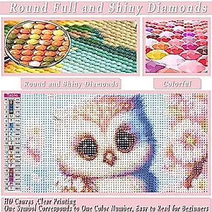KICHANG Owl Diamond Painting Kits,DIY Diamond Art Kits for Adults,5D Diamond Painting Diamond Art with Full Drill Round Diamonds,Diamond Dots Diamond Art Kits for Home Wall Decor Gifts-12X16inch