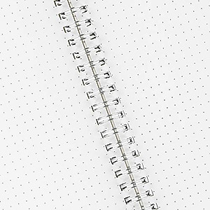 HULYTRAAT Hardcover Dot Grid Notebook, 5.8 x 8.38 Inches A5, Transparent, 160-Page 80-Sheet Spiral Journal (AWPPD1)