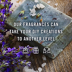 P&J Trading Fragrance Oil | Ladies Set of 6 - Scented Oil for Soap Making, Diffusers, Candle Making, Lotions, Haircare, Slime, and Home Fragrance