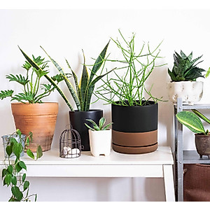 D'vine Dev 6 Inch Ceramic Planter Pot with Drainage Hole and Saucer, Indoor Cylinder Round Planter Pot, Black/Speckled Tan, 94-O-S-7