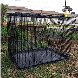 Large 30" Lx18 Wx24 H First Home Multi-Level Habitat Rat Mouse Guinea Pig Chew Free Metal Cage for Exotics Small Animal Critters