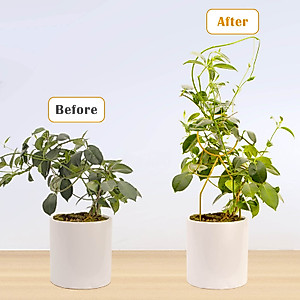 4 Pcs Small Metal Plant Trellis for Indoor Potted Plants, Mini Gold Trellis for Climbing Plants Indoor, House Plant Trellis Indoor Plant Support Stake for Small Planter