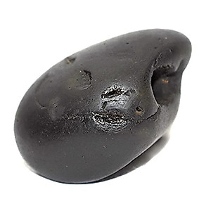 Rudrakshguru TriVikrama Shaligram - Gandaki River Nepal