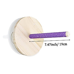 Bird Shower Perch Stand Parrot Bath Suction Cup Window Wall Platform Frame Toys for Small Medium Parrots Parakeet Macaw Cockatoo African Grey Budgies with Scrubbing Wooden Stick (Random Color)