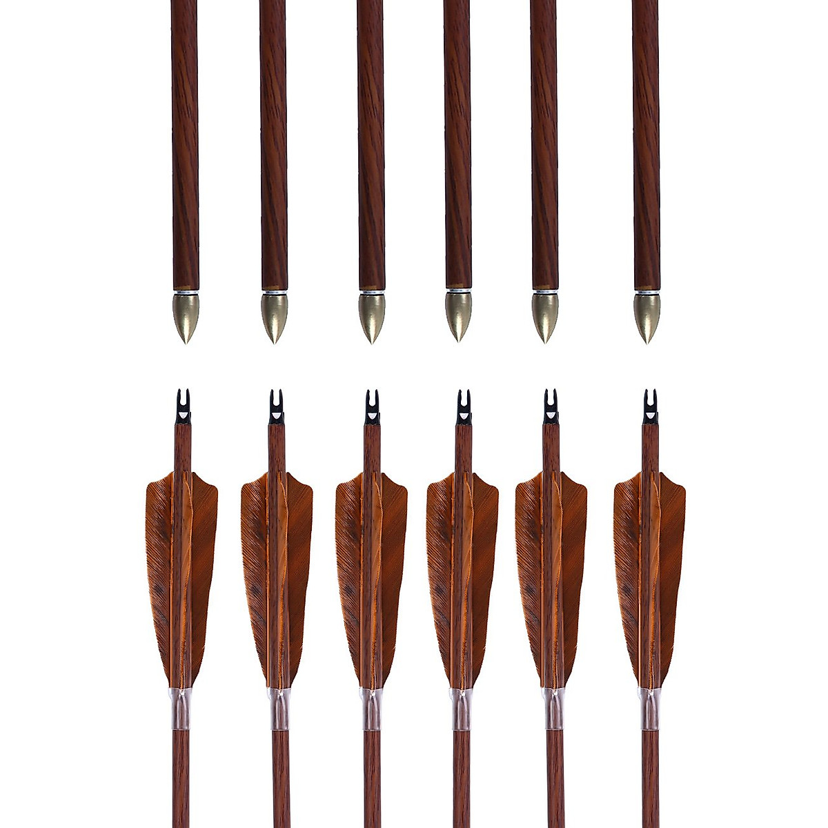 PANDARUS Archery 31-Inch Carbon Hunting Arrows, 4-Inch Turkey Feather Fletching with Replaceable Points, Targeting Practice Arrows Spine 500 for Recurve & Traditional Bows (12 Pack)