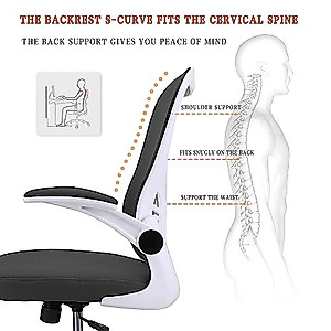Desk Chair Ergonomic Office Chair Breathable Mesh Chair High-Back Computer Chair with Adjustable Height Headrest Flip-Up Arms and Lumbar Support Executive Rolling Swivel Black