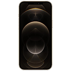 Apple iPhone 12 Pro Max 5G, US Version, 256GB, Gold - Unlocked (Renewed)