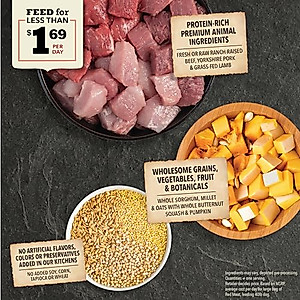 ACANA Wholesome Grains Dry Dog Food, Red Meat and Grains, Gluten Free, Beef, Pork, and Lamb Recipe, 4lb