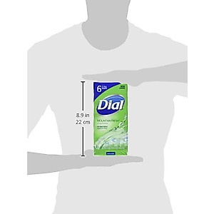 Dial Antibacterial Bar Soap, Mountain Fresh, 3.2 Ounce, 6 Bars