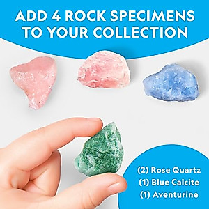 NATIONAL GEOGRAPHIC Light Up Terrarium Kit for Kids - Build a Dinosaur Habitat with Real Plants & Gemstones, Science Kit, Dinosaur Toys for Kids (Amazon Exclusive)