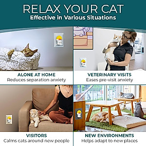 Doggy's Dinner Cat Calming Pheromone Plug-in Diffuser refills. Calming Pheromones help Relieve Anxiety. Contains (3 48ml refills 90 day supply) Works with most other brand Diffusers., Clear