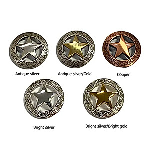 Toxic Jungle 2 Pieces 4/5 inch (21mm) Indian Head Nickel Classic Screw Post Decorative Nickel Concho, Ornament for Leathercraft Saddle/Belt/Saddle Blanket/Hats/Wallet, Antiqued Silver