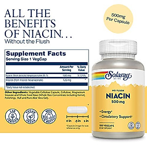 SOLARAY Niacin, No Flush 500 mg, Healthy Energy & Circulatory System Support, Vegan, 100 Servings, 100 VegCaps