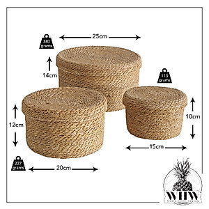 Seagrass Basket Boxes with Lids, Set of 3, Circular, Coiled Wicker Weave, Natural Seagrass, Made by Hand, 6, 7.75, and 9.75 Inches in Diameter