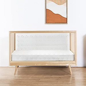 Babyletto Ubabub Nifty Clear 3-in-1 Crib in Natural Birch, Greenguard Gold Certified