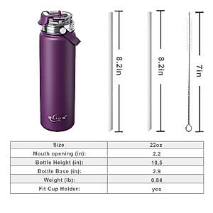 ZLINS 22oz Insulated Water Bottle with Dual Use lid(Straw Sip and Flip Drink), Leak Proof Stainless Steel Thermos Cup for Sports and Travel, Double Walled Vacuum Flask, Keep Cold or Hot(Purple)
