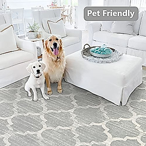 Lahome Moroccan Machine Washable Rug - 5x7 Area Rugs for Living Room Non-Slip Throw Large Grey Rugs for Bedroom Modern Trellis Carpet for Entryway Office Kitchen Dining Room Rug Decor (5'x7', Gray)