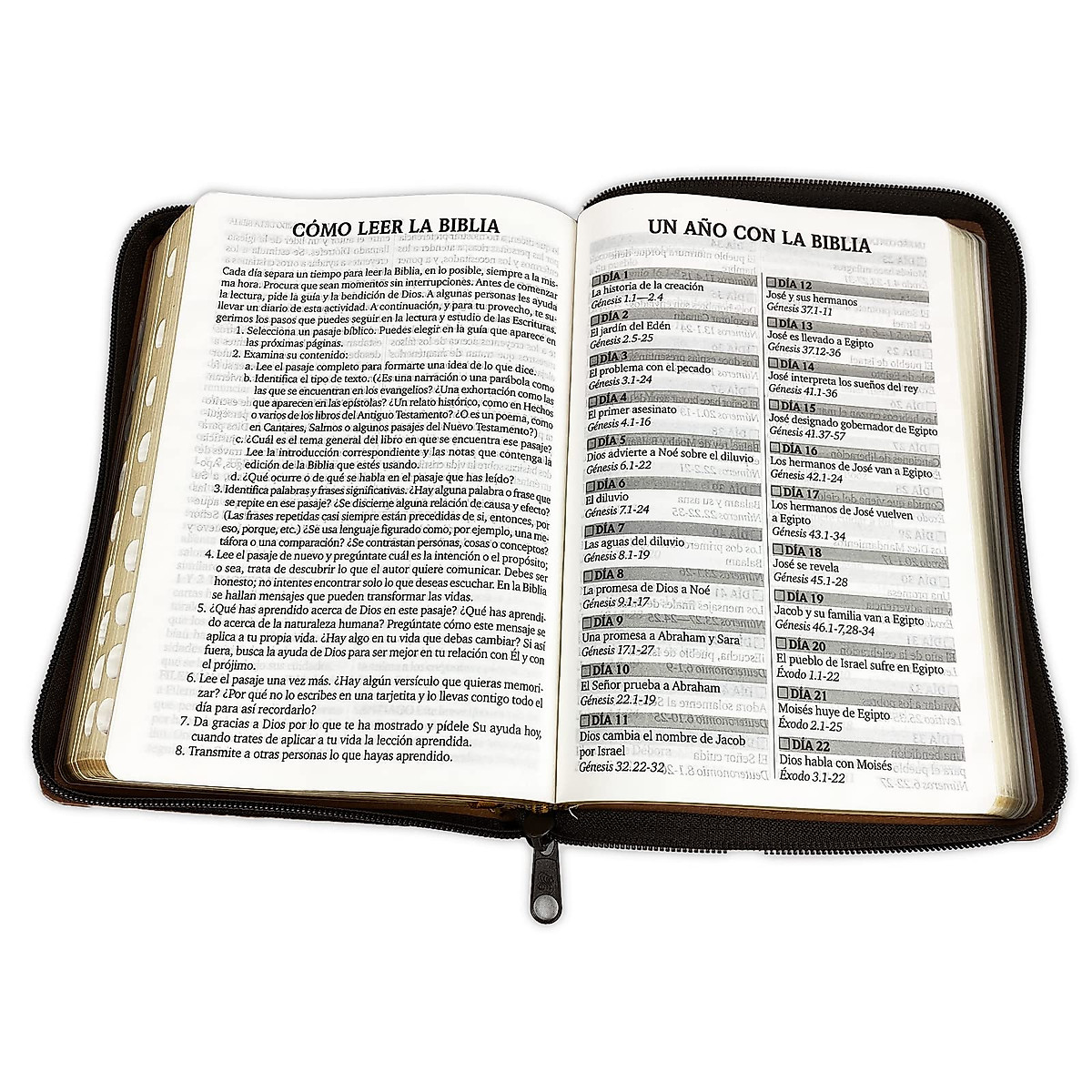 Biblia Letra Grande Manual de 12 puntos con Cierre y Concordancia Amplia Reina Valera 1960 marron con indice