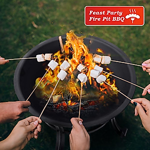 SINGLYFIRE 22 inch Fire Pit for Outside Outdoor Wood Burning Small Bonfire Pit Steel Firepit Bowl for Patio Camping Backyard Deck Picnic Porch,with Spark Screen,Log Grate,Poker