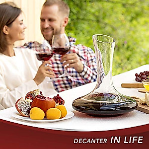 Le Chateau Wine Decanter - Hand Blown Lead-free Crystal Glass Wine Decanters and Carafes - Full Bottle (750ml) Wine Pitcher Aerates Wine for Maximum Aroma and Taste - Large Decanter Wine Aerator