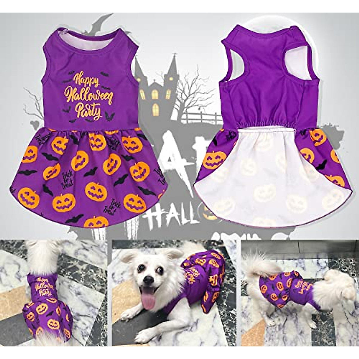 Dog Halloween Witch Dresses Costumes Puppy Skirts Apparel for Funny Pumpkin Head/Bat Party Dress Cosplay Halloween Costume for Small Medium Dogs Cats (Medium, Purple)
