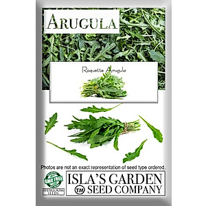 "Roquette Arugula" Seeds for Planting, 1000+ Heirloom Seeds Per Packet, Non GMO Seeds, (Isla's Garden Seeds), Botanical Name: Eruca vesicaria, Great Home Garden Gift