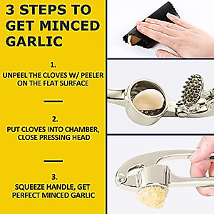 Premium Garlic Press, Professional Garlic Mincer, Easy to Squeeze and Clean, Rust Proof & Dishwasher Safe, Efficient Ginger Crusher- Imperial Silver