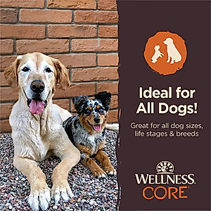 Wellness CORE Power Packed Dog Treats, Grain-Free Tender Jerky Treats, Made in USA (Chicken & Lamb Recipe, 4-Ounce Bag)