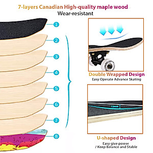 ANDRIMAX Skateboards-Complete Skateboards for Beginners Kids Boys Girls Adults Youth-Standard Skateboards 31’’x8’’ with 7 Lays Maple Deck Pro Skateboards, Longboard Skate Boards (Graffiti)