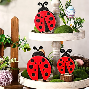 3 Pieces Spring Summer Tiered Tray Decor Red Ladybug Wooden Blocks Signs Farmhouse Ladybird Free Standing Decor Kitchen Shelf Display Ladybug Daisy Tiered Tray Decoration Housewarming Gift
