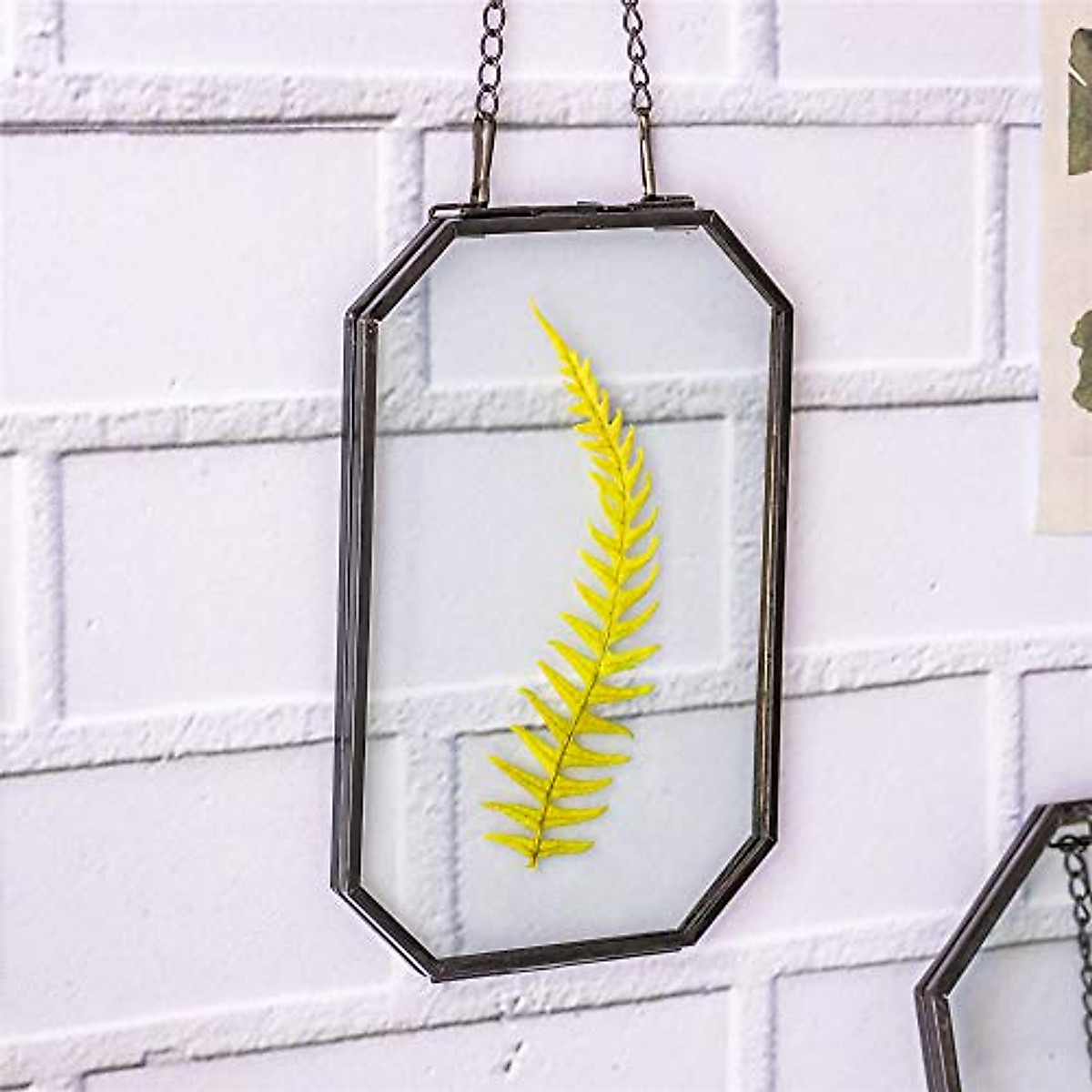 NCYP Wall Hanging 4X6 inches Black Long Octagon Herbarium Brass Glass Frame for Pressed Dried Flowers, Double Glass, Floating Frame Style, Glass Frame Only