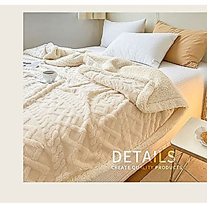 Sherpa Fleece Throw Blanket-3D Stylish Design, Super Soft,Fluffy,Warm,Cozy,Plush,Fuzzy for Couch Sofa Living Room Bed-All Season Accessories(Beige, 60x80)