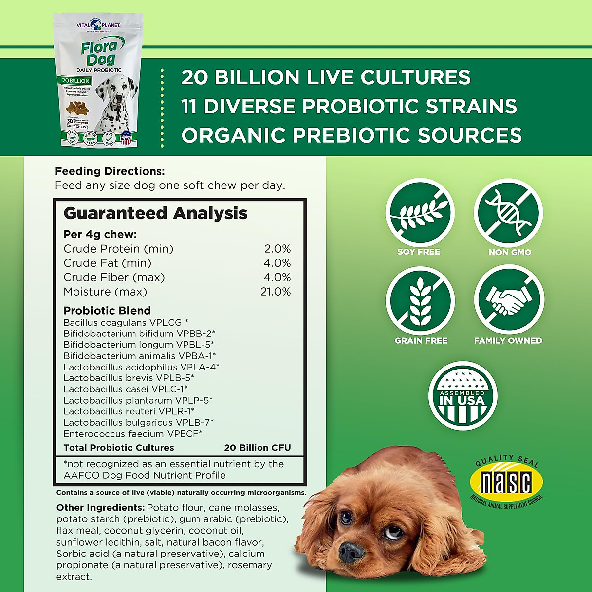 Vital Planet - Flora Dog Probiotics, Dog Chews Supplement with 20 Billion Cultures and 11 Strains, Immune and Digestive Support Chewable Probiotics for Dogs, 30 Natural Bacon Flavored Soft Chews