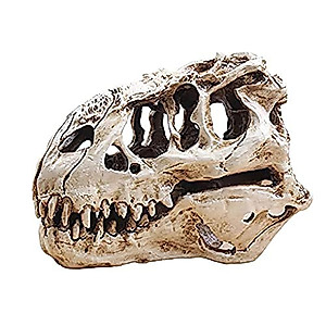 KODENG Tyrannosaur Skull T-Rex Skull Gifts Lifelike Resin Crafts Dinosaur Skull Fossil Teaching Skeleton Model Home Aquarium Decor (A)
