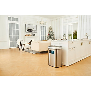 Ninestars DZT-70-R3 Motion Sensor Trash Can, Extra Large, Silver