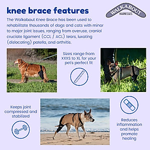 Walkabout Harnesses Black Knee Brace for Dogs Treat ACL, CCL Injury, Arthritis, Joint Pain, Fatigue and Stress with The Walkabout Knee Brace (ML Right)