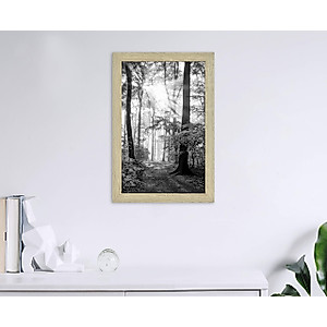 MCS Studio Gallery 11x17 Picture Frame Natural Woodgrain, Rectangle Photo Frame for Photos, Posters & Art Prints (1-Pack)