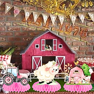 11Pcs Pink Farm Animals Honeycomb Centerpieces Farm Theme Party Table Centerpieces Barnyard Party Honeycomb Decorations Farm Birthday Party Table Decorations for Farm Theme Baby Shower Supplies