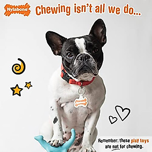 Nylabone Rexii Interactive Dog Toy for Small Dogs – Lightweight Flexible Dog Toy for Creative Play & Dog Exercise