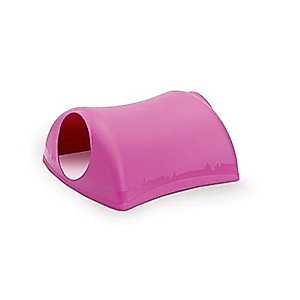 Lixit Igloos and Hideaways for Guinea Pigs, Rats, Mice, Hamsters, Gerbils and Other Small Animals (Large Hollow)