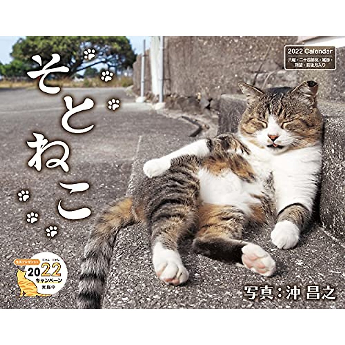 そとねこ (インプレスカレンダー2022)