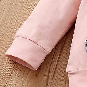 ATPAT Baby Girl Clothes Baby Girl Outfits Long Sleeve Hoodie Sweatshirt Floral Pants Sets with Pocket Burgundy 9-12 Months