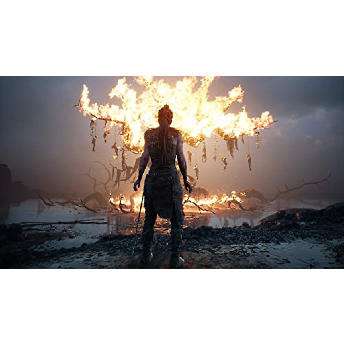 Hellblade: Senua's Sacrifice - PlayStation 4