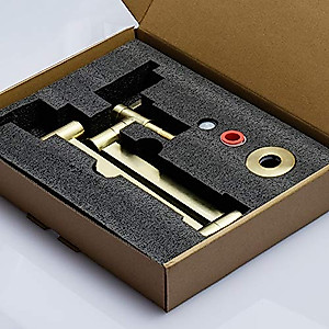 KATAIS Pot Filler Faucet Wall Mount Kitchen Sink Folding Faucet Double Joint Swing Arm Extended Spout Two Shut Off Handle Brass Brushed Gold Finish