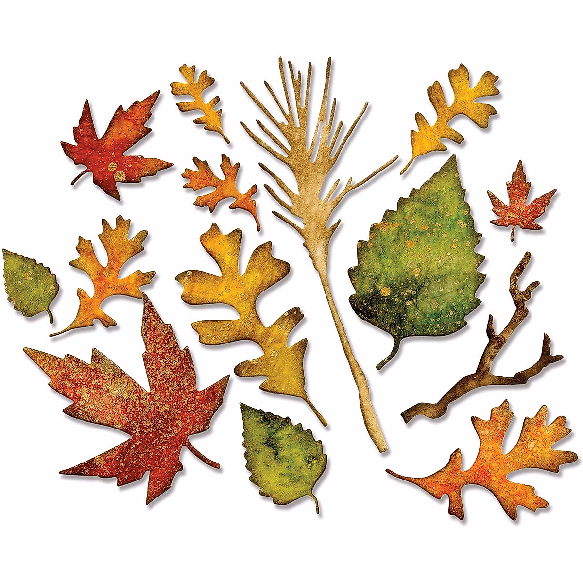 Sizzix 660955 Thinlits Die Set, Fall Foliage by Tim Holtz, 14/Pack