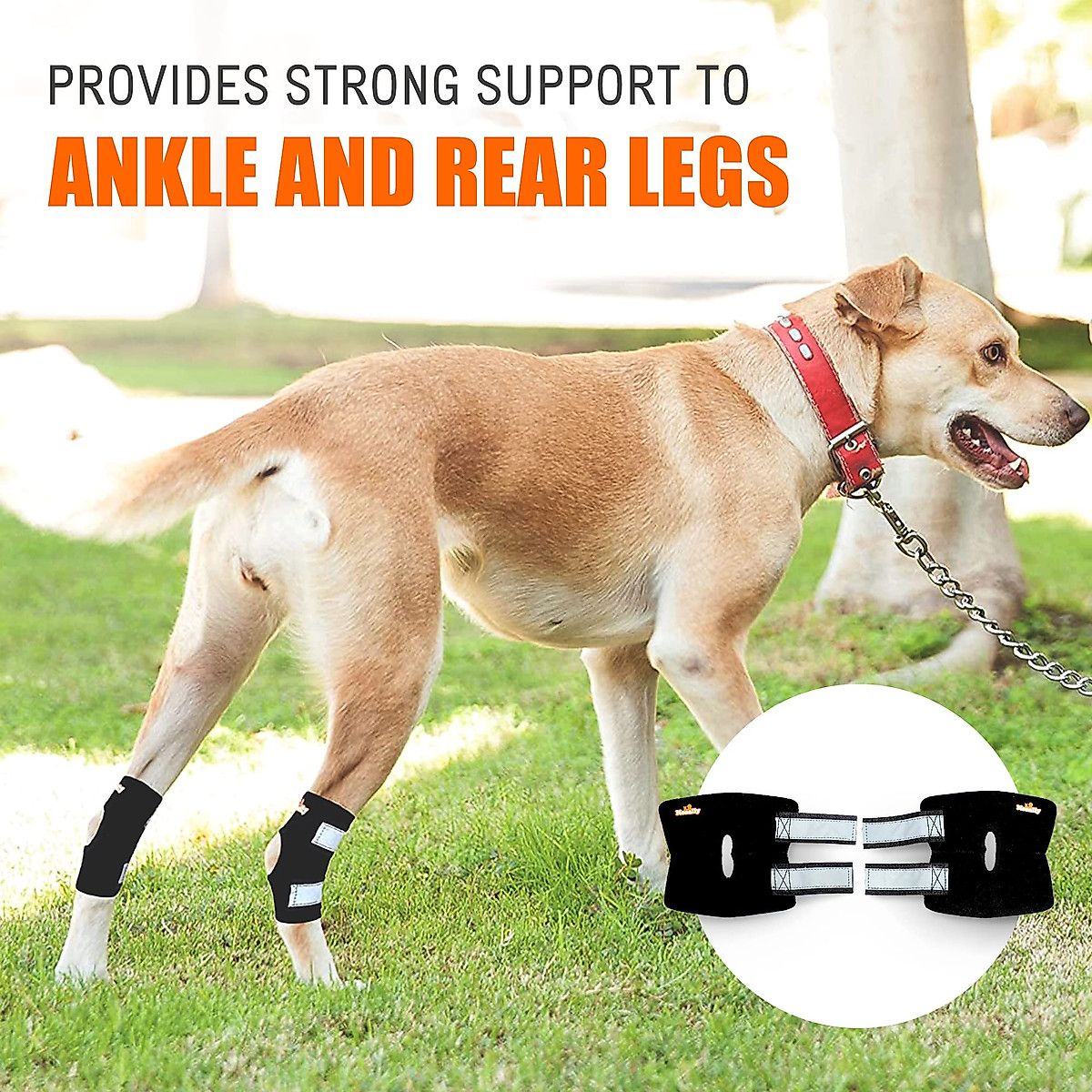 NeoAlly - Short Rear Leg Hock Brace, Dog Leg Brace for Rear Leg, Hock & Ankle Support, Dog Brace for Torn ACL & CCL, Dog Leg Sleeve with Reflective Straps, Small, Black, 1 Pair