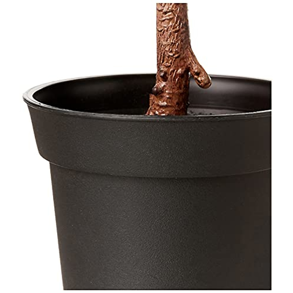 Amazon Brand - Stone & Beam Artificial Fiddle Leaf Fig Tree with Plastic Nursery Pot, 2.6 Feet (32 Inches) / Small, Indoor